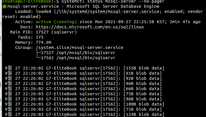 dbeaver + mssql(SQL Server) 연결